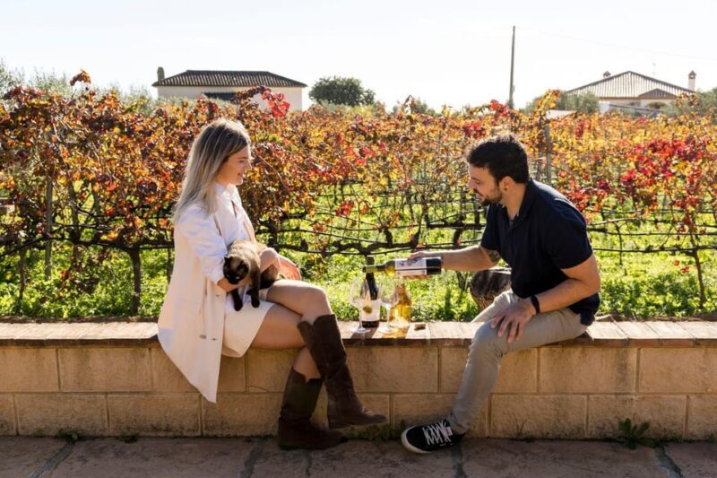 Malaga: Vineyard and Cellar Visit with 6 Top Wines and tapas - An Authentic Look at Málagas Wine Scene