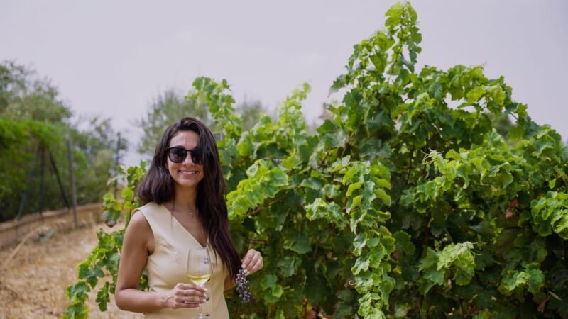 Malaga: Vineyard and Cellar Visit with 6 Top Wines and tapas - The Vineyard and Winemaker’s House