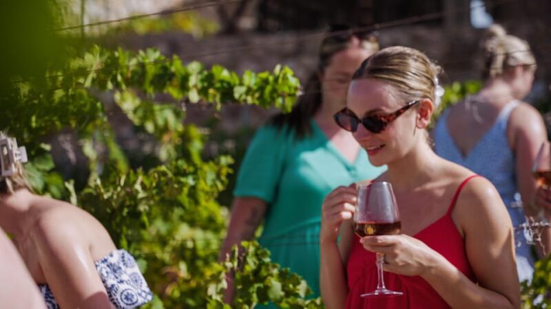 Malaga: Vineyard and Cellar Visit with 6 Top Wines and tapas - Paired Tapas and Snacks