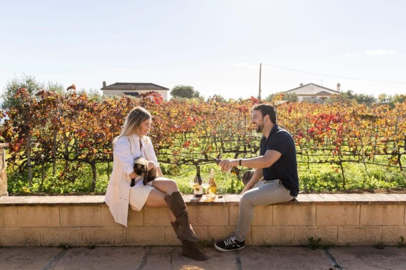 Malaga: Vineyard and Cellar Visit with 6 Top Wines and tapas - Scenic Vineyard Walk and Cultural Insights