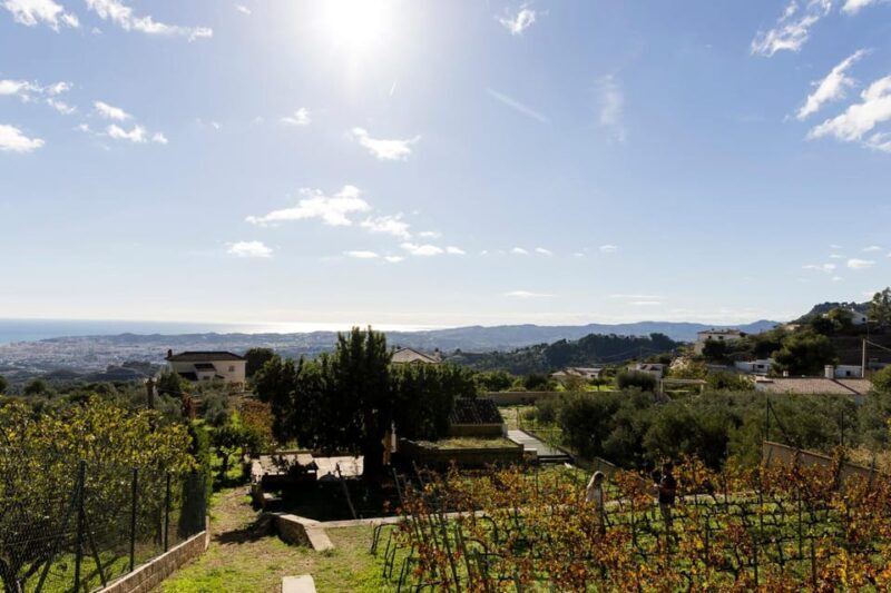 Malaga: Vineyard and Cellar Visit with 6 Top Wines and tapas - Final Thoughts