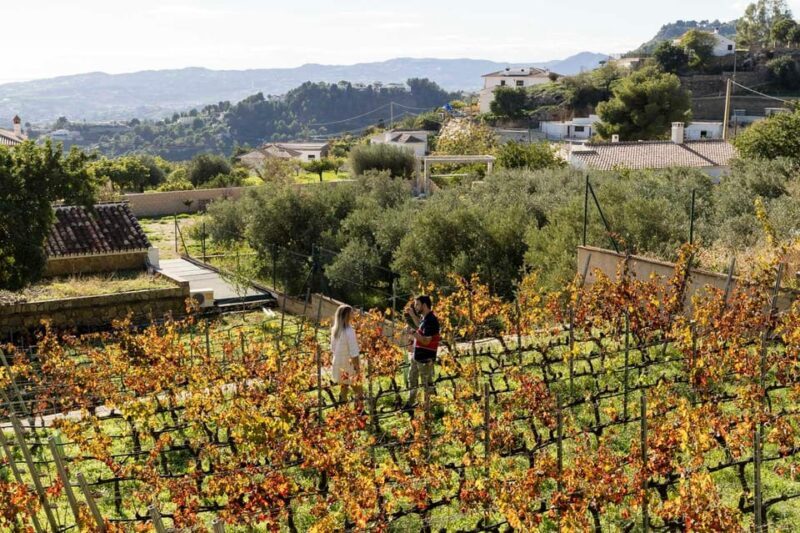 Malaga: Vineyard and Cellar Visit with 6 Top Wines and tapas - FAQ