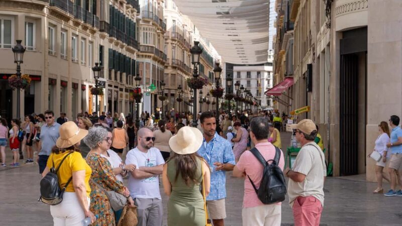 Malaga Walking Tour, Roman Theater, and Alcazaba: Private Tour with Tickets - Practical Information and Value