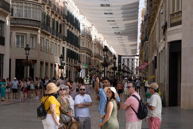 Malaga Walking Tour, Roman Theatre and Alcazaba with Tickets Included - Key Points