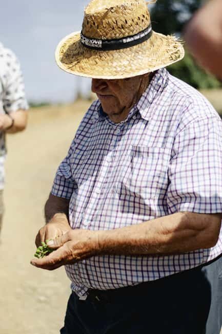 Málaga:Exclusive Heroic Vineyard Visit & Natural WineTasting - To Wrap It Up