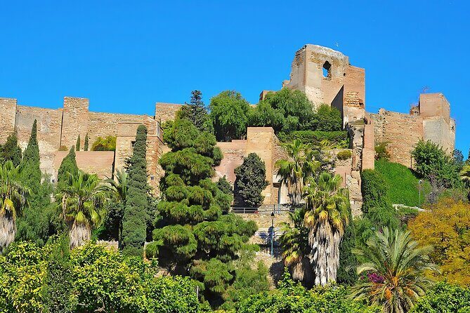 Málagas Historic Heart: A Cultural Walking Tour - The Sum Up