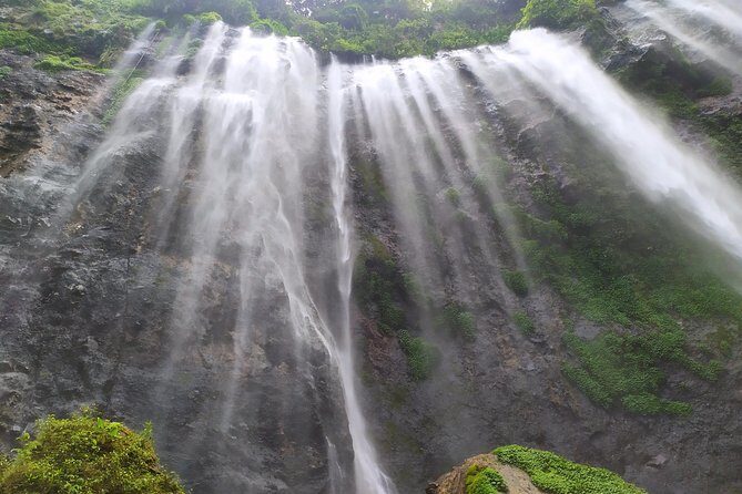 Malang Daily Tours - A Close-Up Look at the Malang Daily Tours Experience