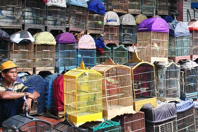 Malang local life kampong walking tour - city highlights in between // 4 - 6 hrs - Who Will Love This Tour