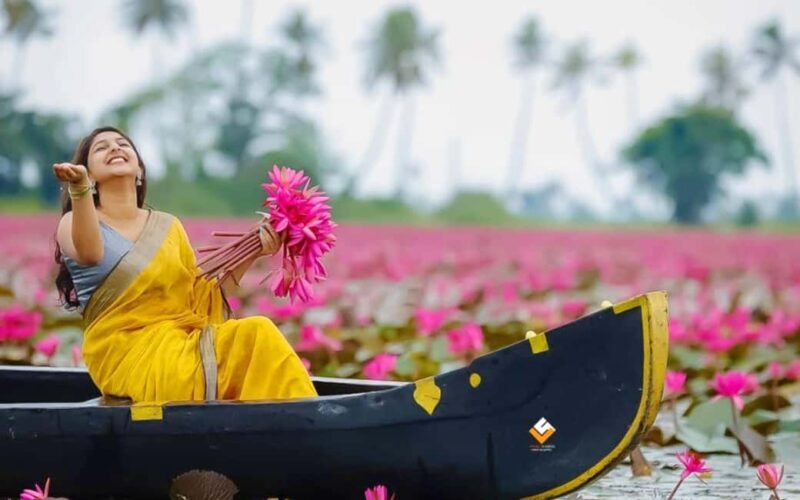 Malarikkal Viewpoint Tour from Cochin-Keralas Hidden Gem - An In-Depth Look at the Malarikkal Viewpoint Tour