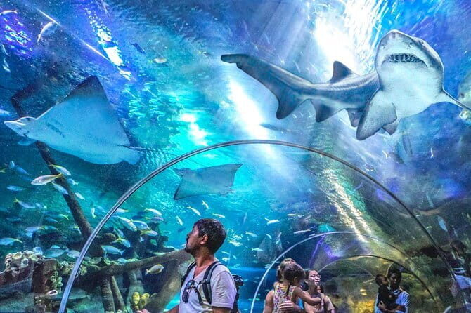 Malaysia: Aquaria KLCC Admission E-Ticket - An Honest Look at Aquaria KLCC: Malaysia’s Marine Marvel