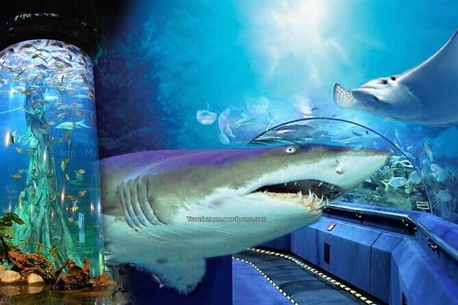 Malaysia: Aquaria KLCC Admission E-Ticket - Final Words