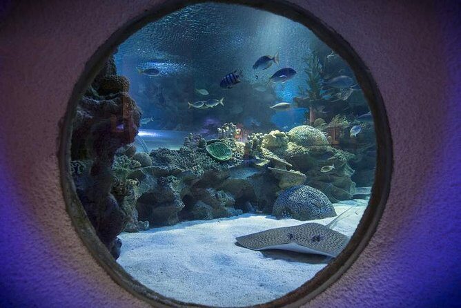 Malaysia: Aquaria KLCC Entry Ticket - Final Thoughts: Is It Worth It?