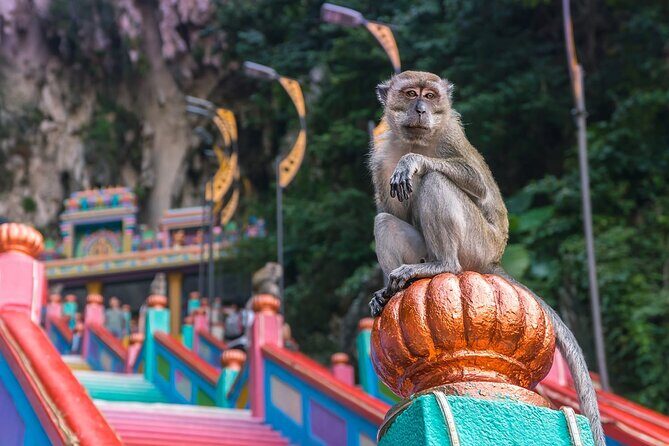 Malaysia Countryside and Batu Caves Tour from Kuala Lumpur - What to Expect from the Tour