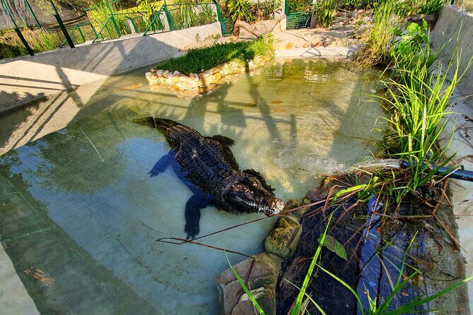 Malaysia: Langkawi Crocodile Adventureland Entry Ticket - Is It Worth It?