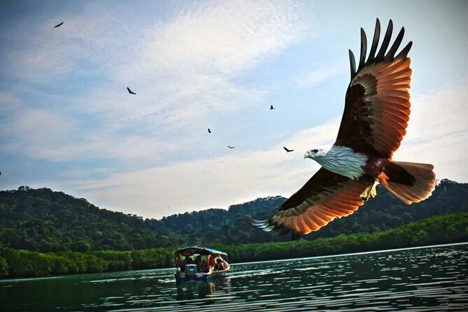 Malaysia Langkawi Island Hopping Tour Experience - Introducing the Malaysia Langkawi Island Hopping Tour Experience
