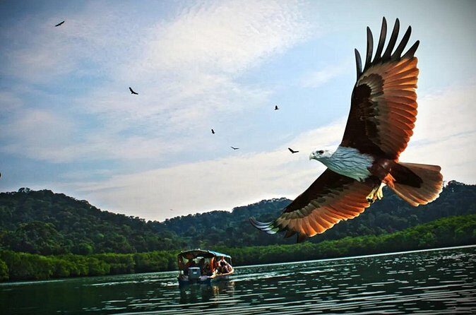 Malaysia Langkawi Island Hopping Tour Experience - The Sum Up