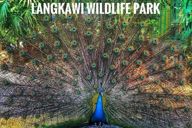 Malaysia: Langkawi Wildlife Park Entry Ticket - Key Points