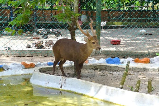 Malaysia: Langkawi Wildlife Park Entry Ticket - A Detailed Look at Your Visit