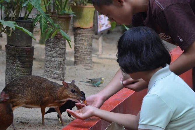 Malaysia: Langkawi Wildlife Park Entry Ticket - FAQ: Your Questions Answered