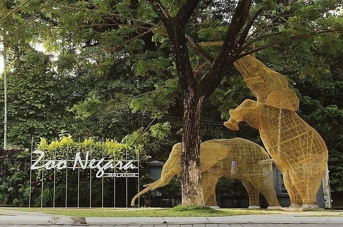 Malaysia National Zoo (Zoo Negara) with Giant Panda Viewing - Who Will Enjoy This Tour?