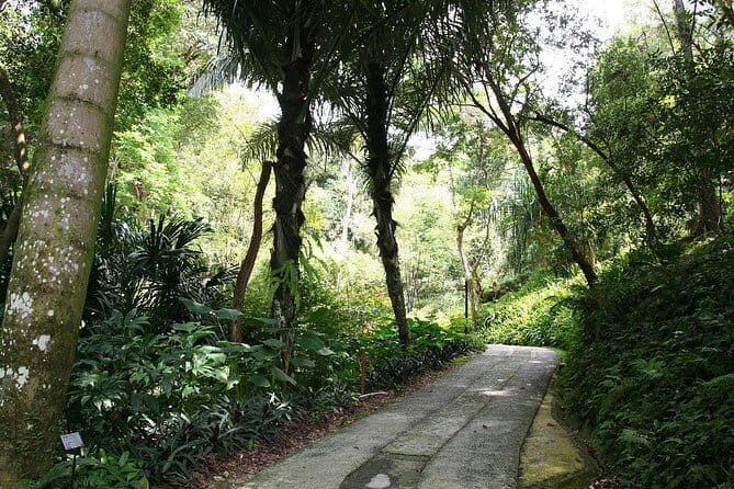 Malaysia: Penang Tropical Spice Garden Guided Tours Tickets - Why This Tour is Worth It