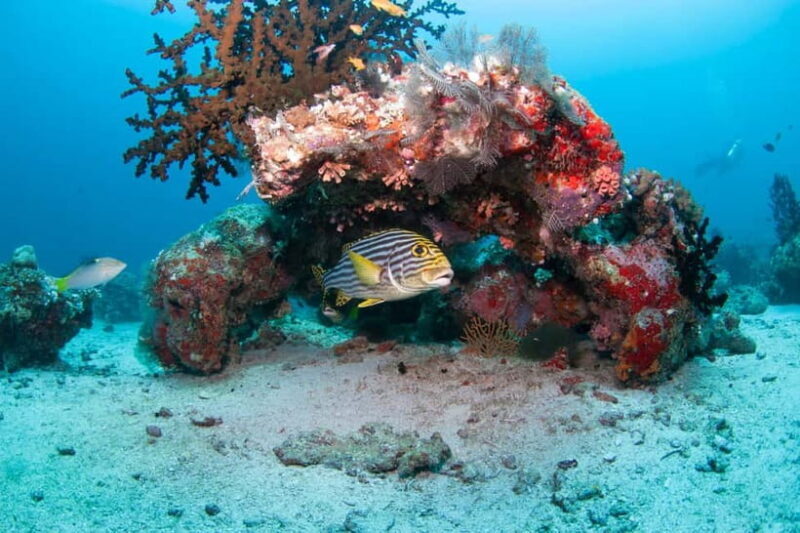 Maldives: Discover Scuba Diving - The Itinerary in Detail