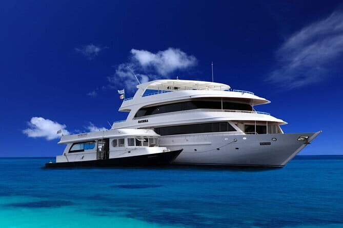 Maldives Dive Cruise Central Atolls Adventure - An In-Depth Look at the Maldives Dive Cruise Experience
