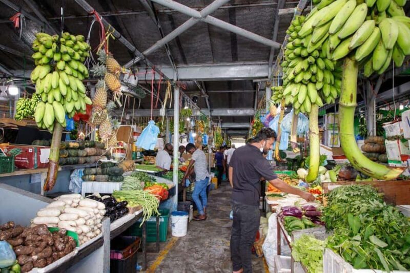 Maldives: Male City Highlights Tour by Car with Local Guide - Final Thoughts