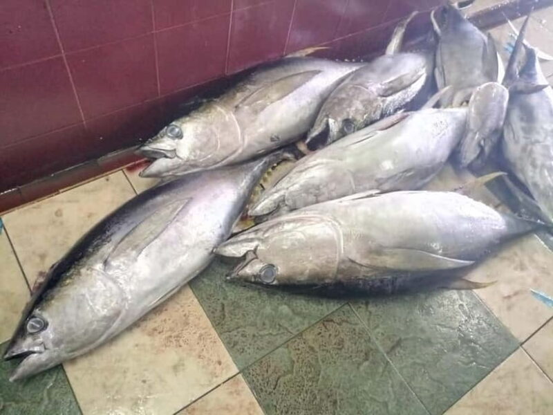 Maldives: Male City Private Walking Tour - Who Should Consider This Tour?