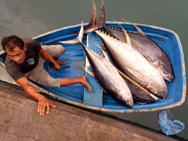 Maldives: Male City Private Walking Tour - FAQ: Your Practical Questions Answered