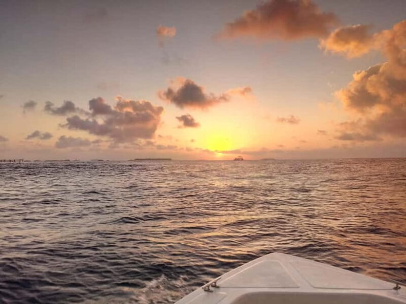 Maldives: Sunset Cruise with Dolphin Watching - The Practical Side: Itinerary, Transportation, and Value