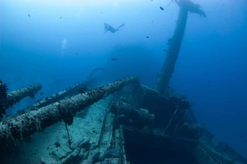 Maldives: Victory Shipwreck Scuba Dive - Marine Life and Coral Colonization