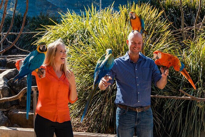 Maleny Botanic Gardens Bird Aviary Experience Ticket - An In-Depth Look at the Experience