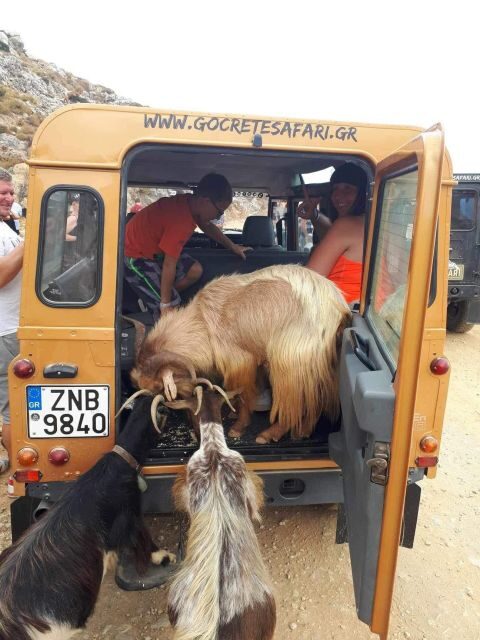 MALIA: East Crete Famous Places (Family and Child Friendly) - The Sum Up