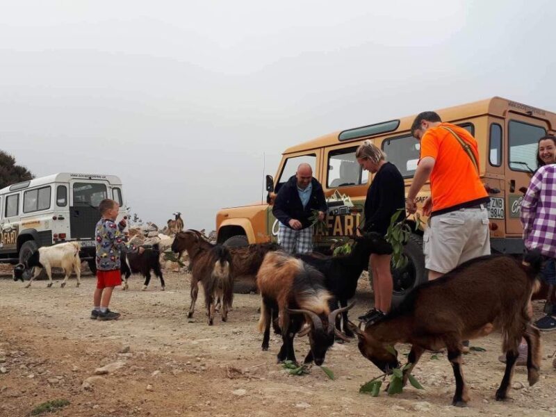 MALIA: Land rover Safari Lasithi Plateau and Zeus Cave - The Ride and the Routes