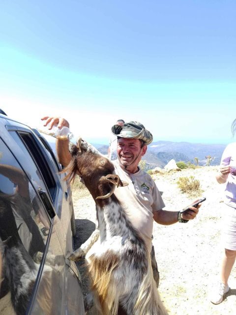 MALIA: Land rover Safari Lasithi Plateau and Zeus Cave - Authentic Experiences and Local Highlights