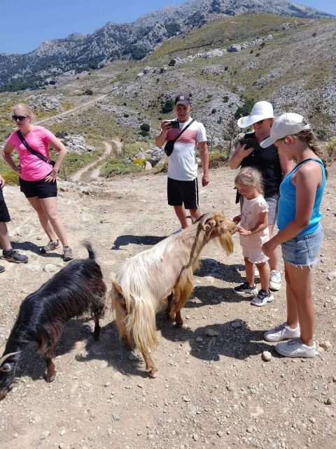 MALIA: Land rover Safari Lasithi Plateau and Zeus Cave - Final Thoughts: Is It Worth It?