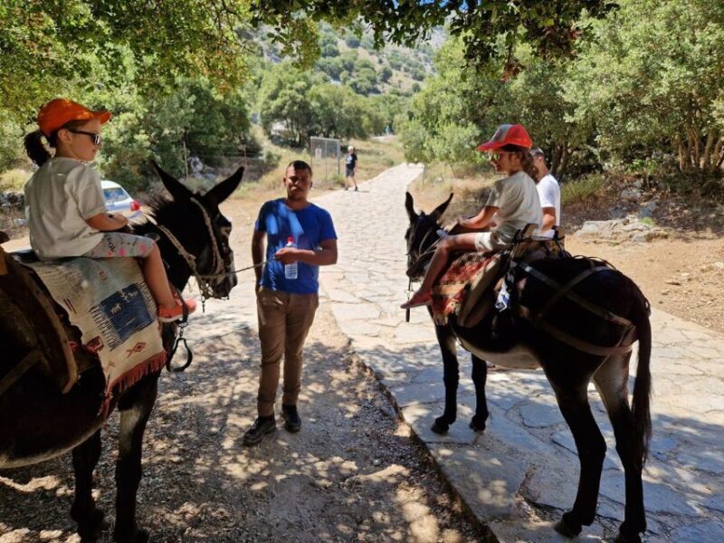 Malia: Lasithi Plateau Zeus Cave Guided Tour - FAQ