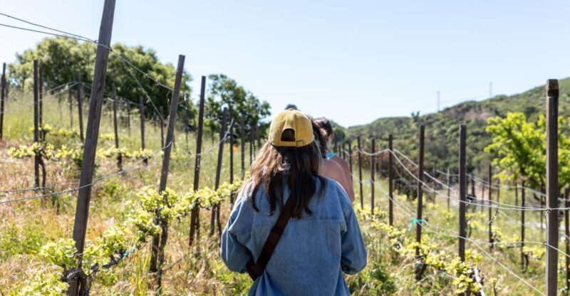 Malibu: Guided Vineyard Hike with Photo Stops and Wine - The Experience: Value, Guides, and Authenticity