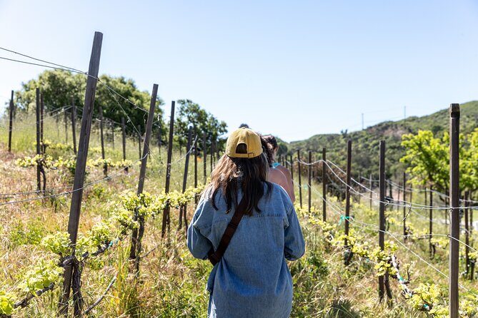 Malibu: Guided Vineyard Hike with Photo Stops and Wine - An Authentic Look at the Malibu Vineyard Hike