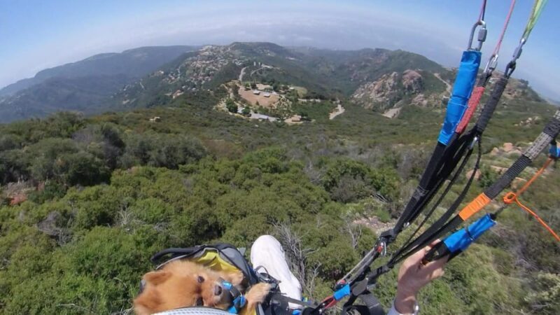 Malibu Hills to Beach: Tandem Paragliding Flight Adventure - The Value Factor
