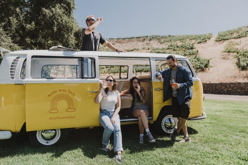 Malibu: Vintage VW Bus and Vineyard Tour - Why Choose This Tour?