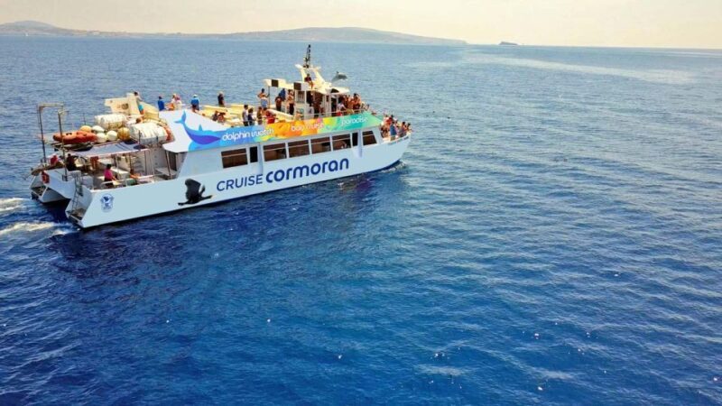 Mallorca: 2-Hour Dolphin Watching Cruise & Glass-Bottom Boat - The Experience in Detail