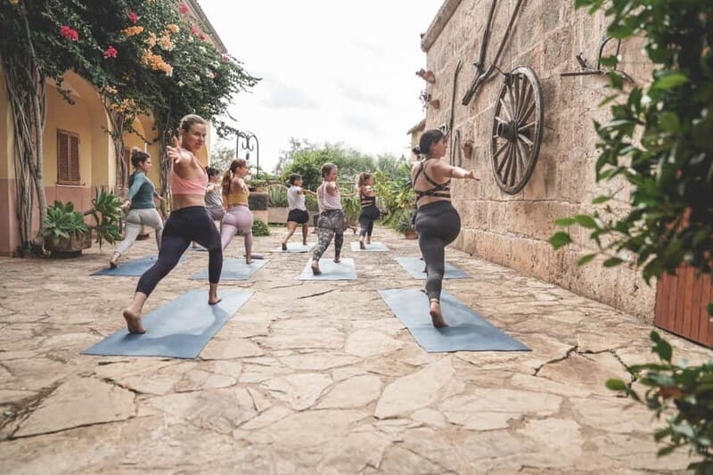 Mallorca: 4-Hour Retreat of Yoga, Meditation & Magic Vibes - Practical Details and Value