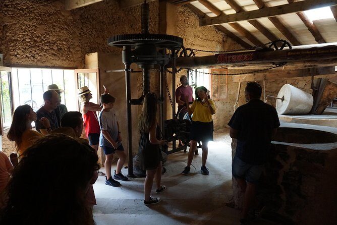 Mallorca: 5-hours Hidden Marvels Tour - What the Tour Offers: An Overview