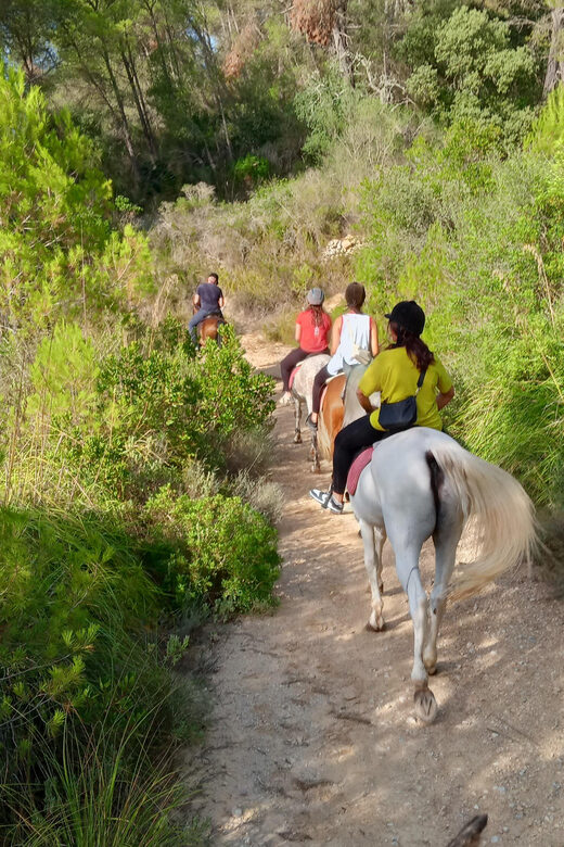 Mallorca: Activity, Antique Mallorca with Picnic - Key Points