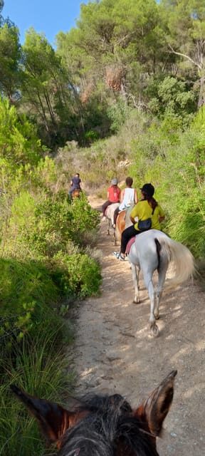 Mallorca: Activity, Antique Mallorca with Picnic - Practical Considerations