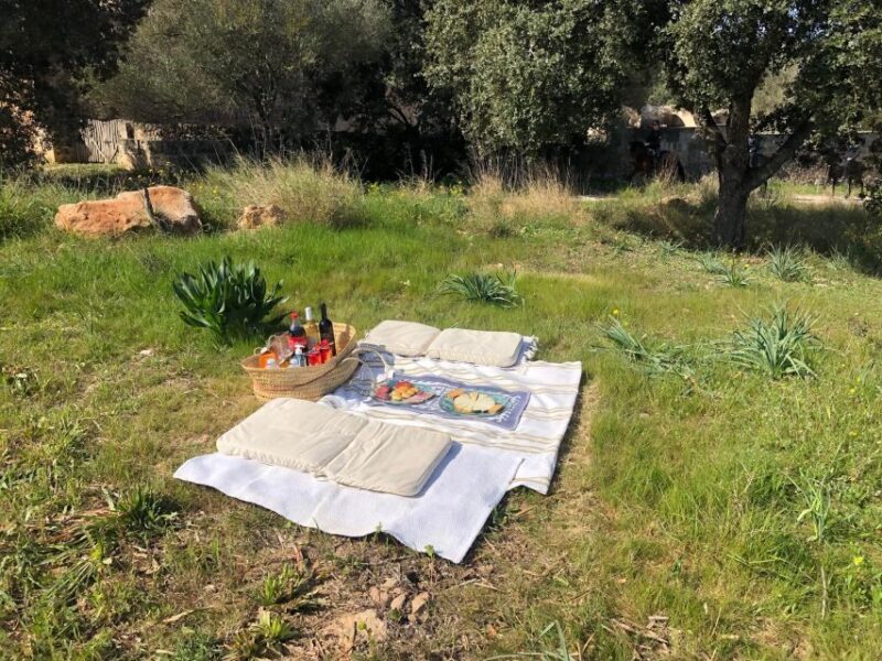 Mallorca: Activity, Antique Mallorca with Picnic - Final Thoughts: Is This Experience for You?