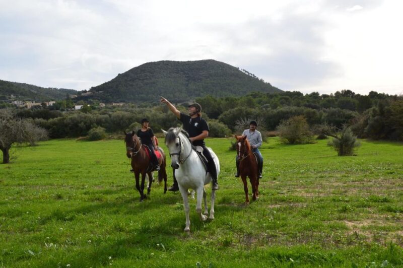 Mallorca: Activity, Antique Mallorca with Picnic - FAQs