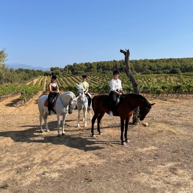 Mallorca: Activity with Horses, Antique Mallorca - The Experience: What You Can Expect